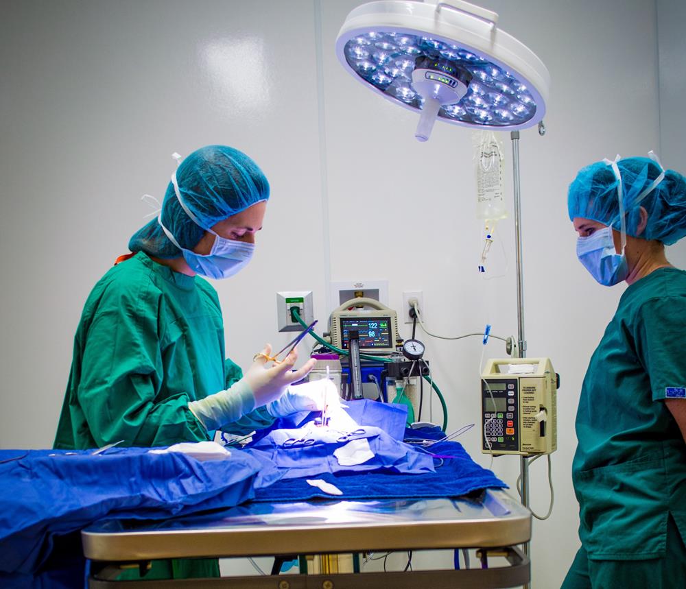 Your Pet’s Surgery | Twin Oaks Animal Hospital